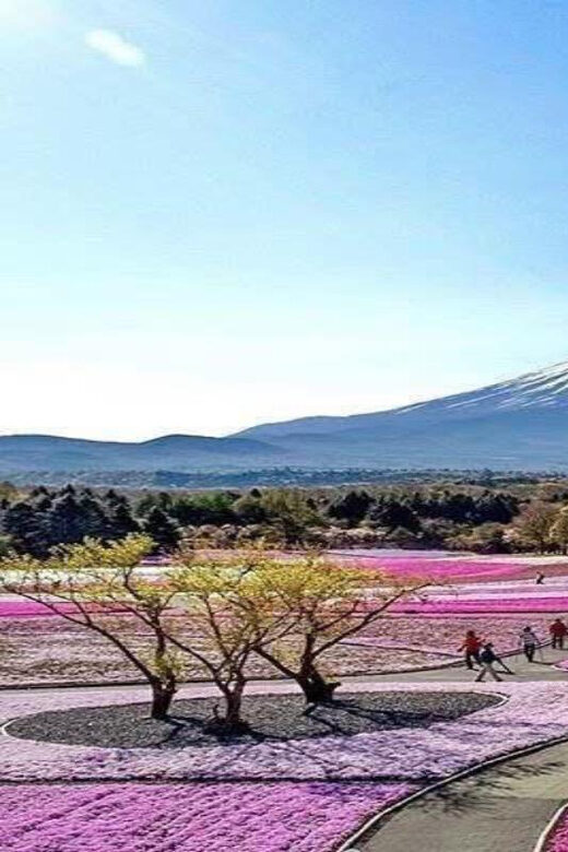 Tokyo: Mount Fuji and Hakone Private Sightseeing Day Tour - Who Should Consider This Tour?