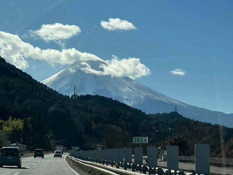 Tokyo: Mount Fuji and Hakone Private Sightseeing Day Tour - Who Will Love This Tour?