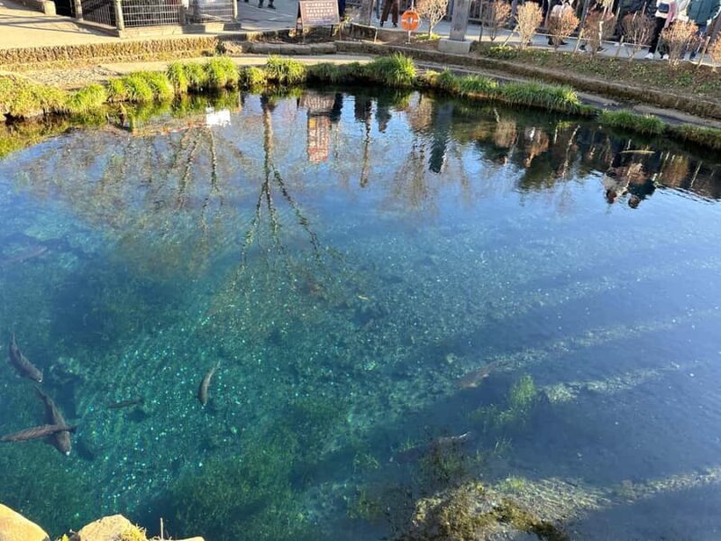 Tokyo: Mount Fuji and Hakone Private Sightseeing Day Tour - The Sum Up