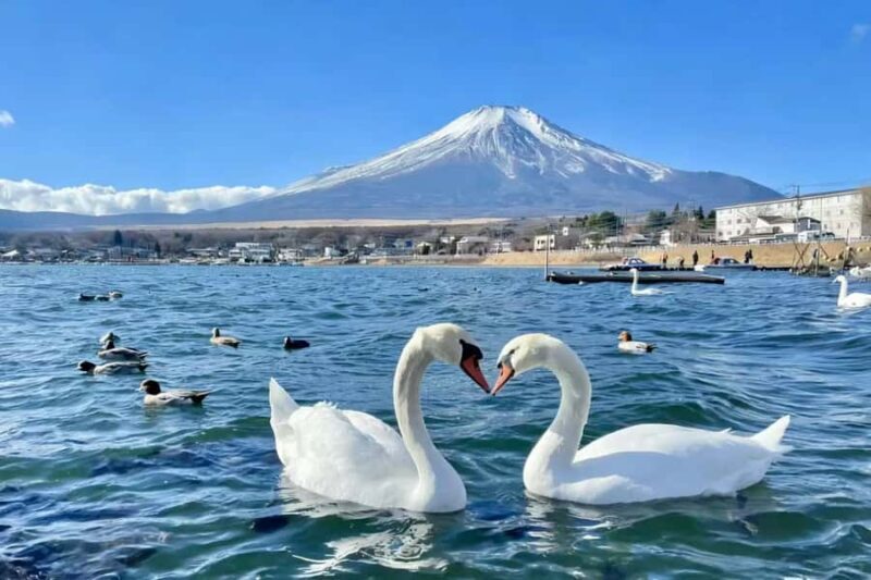 Tokyo: Mount Fuji and Lake Yamanaka Day Trip with Pickup - Key Points