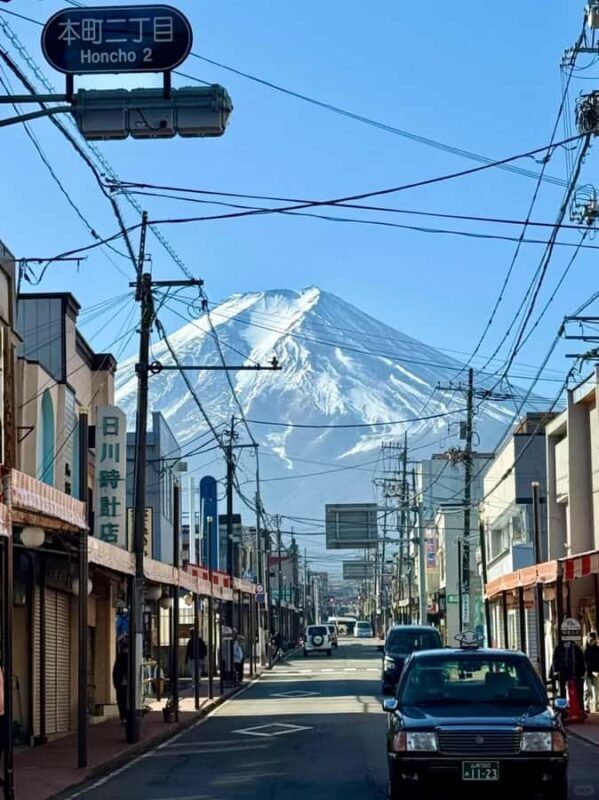 Tokyo: Mount Fuji and Lake Yamanaka Day Trip with Pickup - Final Thoughts