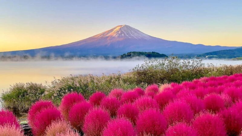 Tokyo: Mount Fuji Day Trip with Scenic & Local Stops - Setting the Scene: What’s This Tour All About?