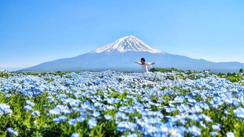 Tokyo: Mount Fuji Day Trip with Scenic & Local Stops - Transportation & Group Size