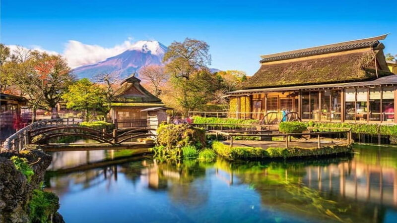 Tokyo: Mount Fuji Day Trip with Scenic & Local Stops - Guides and Experience Quality