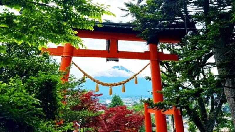 Tokyo: Mount Fuji Day Trip with Scenic & Local Stops - The Price and Overall Value