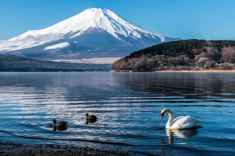 Tokyo: Mount Fuji Full Day Private Customized Tour - Key Points