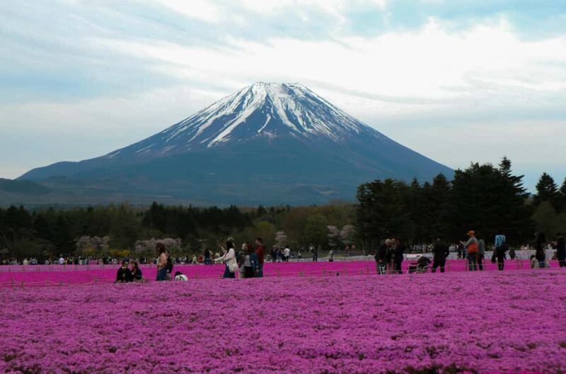 Tokyo: Mount Fuji Full Day Private Customized Tour - An Honest Look at the Tour