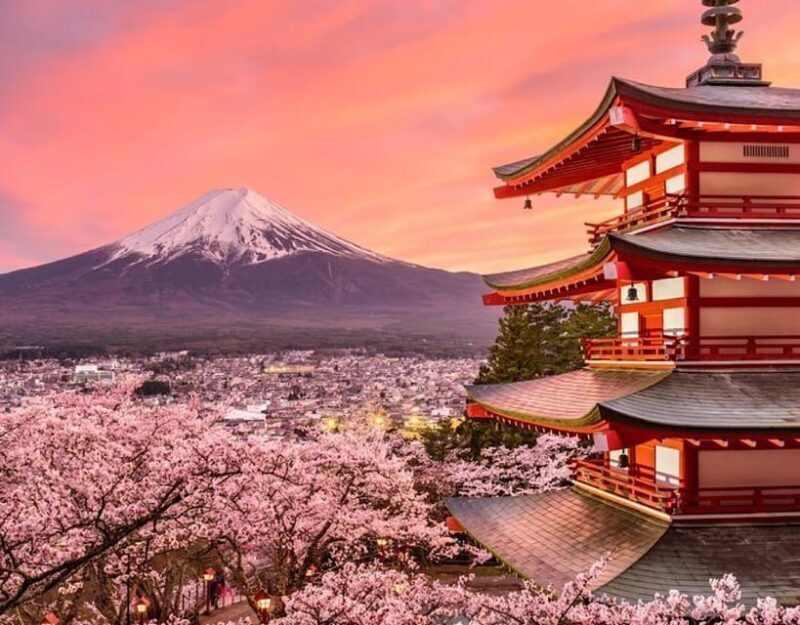 Tokyo: Mount Fuji Full day Private Sightseeing Guided tour - The Experience in Detail