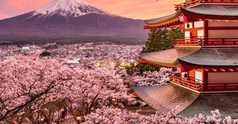 Tokyo: Mount Fuji Full day Private Sightseeing Guided tour - The Sum Up