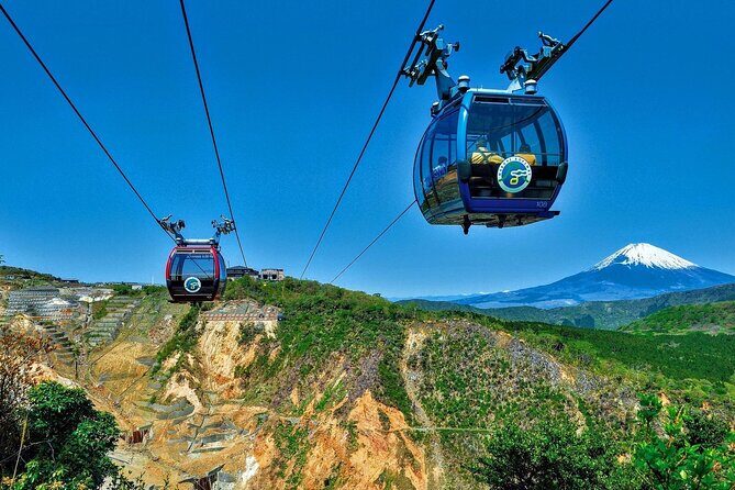 Tokyo: Mount Fuji, Hakone Lake Ashi Cruise and Owakudani Day Tour - The Value of the Experience