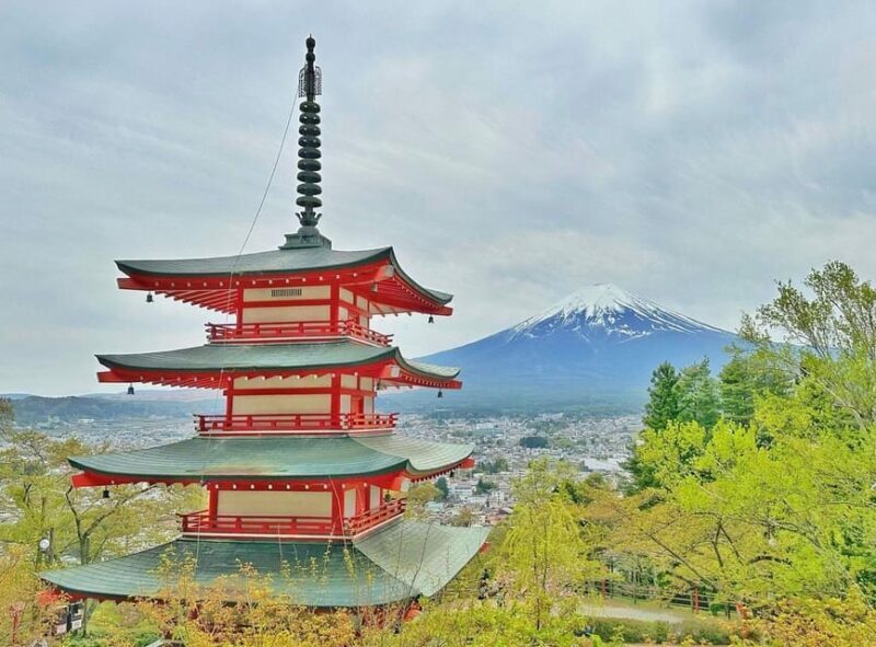 Tokyo: Mount Fuji & Hakone Private Customized Full Day Tour - Key Points