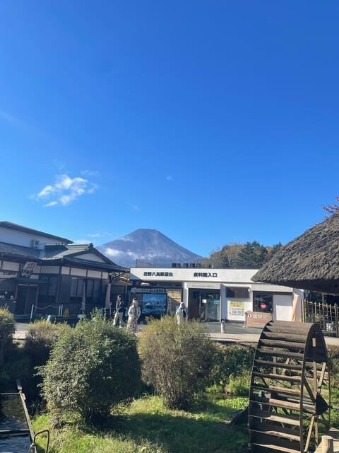 Tokyo: Mount fuji & Hakone Private Day Tour - What You Can Expect from the Tour