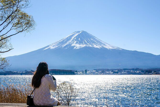Tokyo: Mount Fuji, Kamakura, Lake Ashi & Big Buddha 4 in 1 day - Starting in Tokyo—Ginza to Kamakura