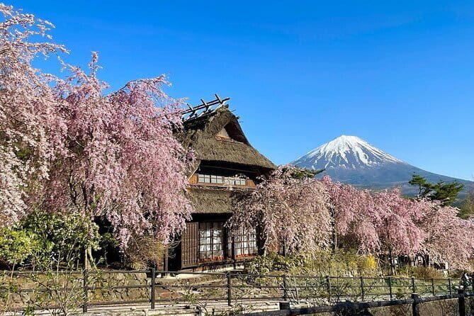 Tokyo: Mount Fuji Must-see Attractions One Day Sightseeing Tour - FAQ