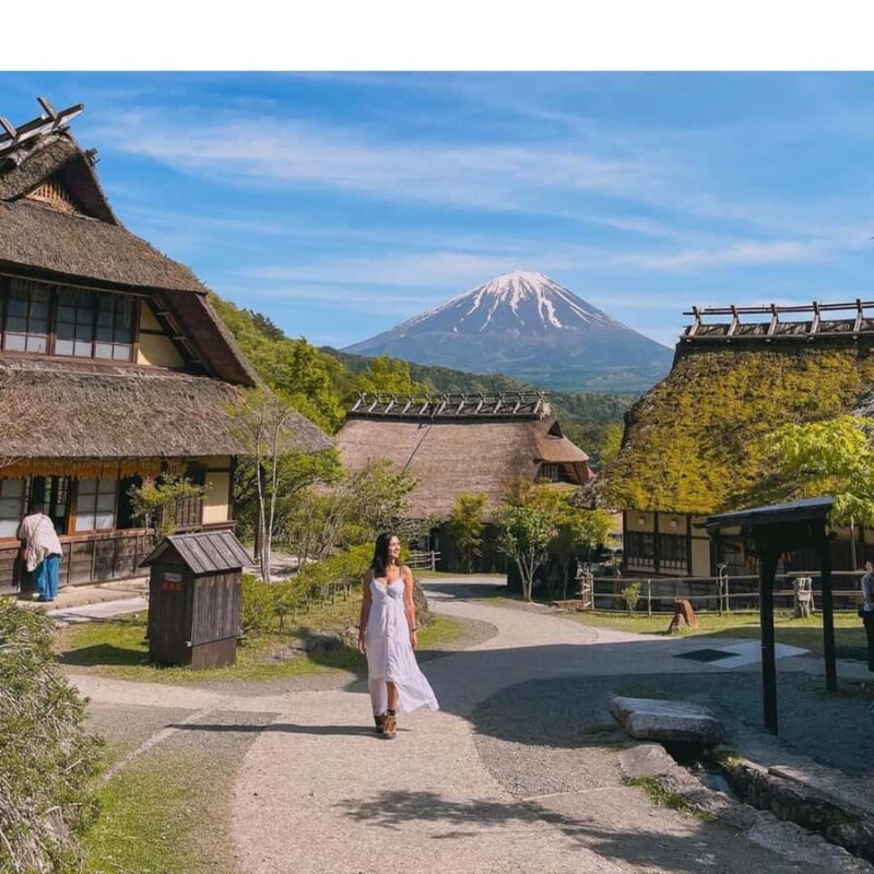 Tokyo: Mount Fuji Must See Private Tour Adjustable Itinerary - Key Points