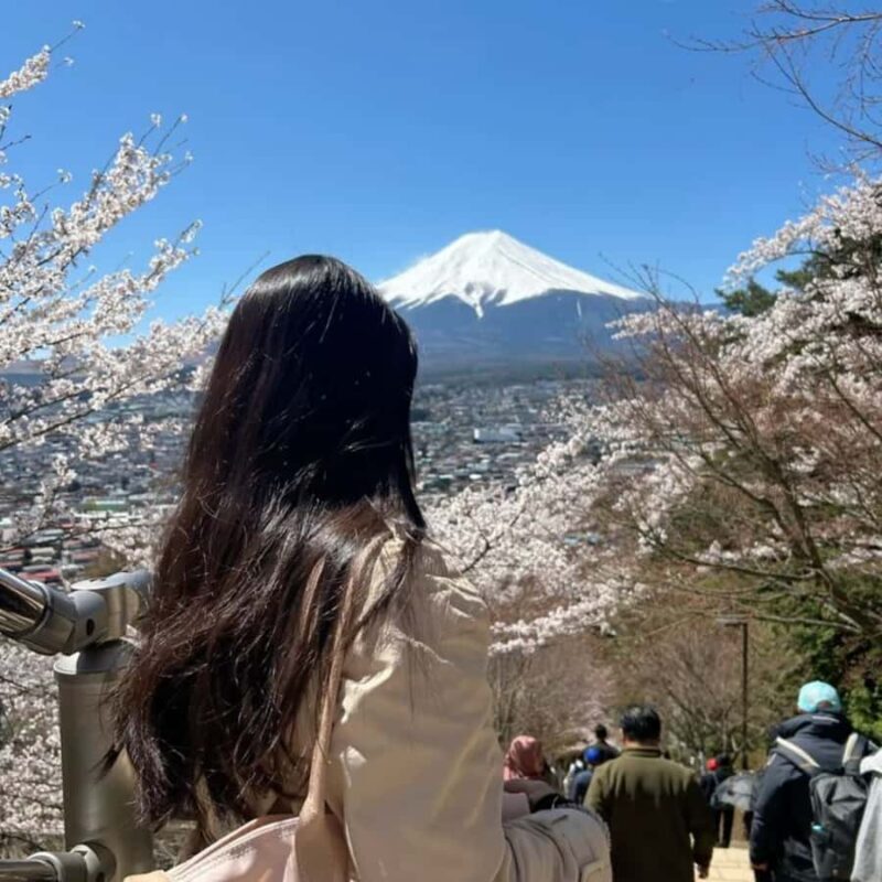 Tokyo: Mount Fuji Must See Private Tour Adjustable Itinerary - The Hakone Extension