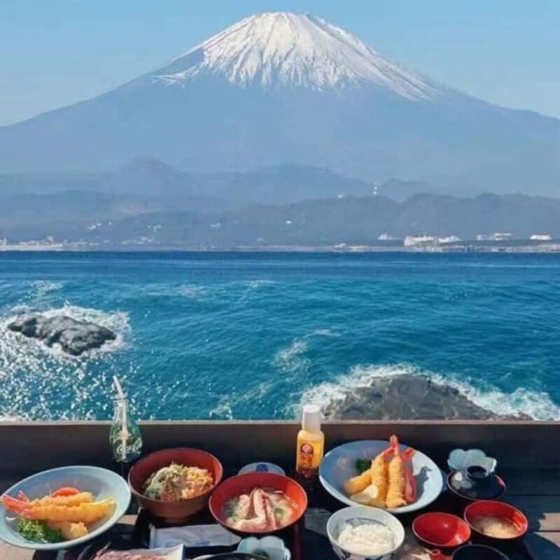 Tokyo: Mount Fuji Must See Private Tour Adjustable Itinerary - Who Will Love This Tour?