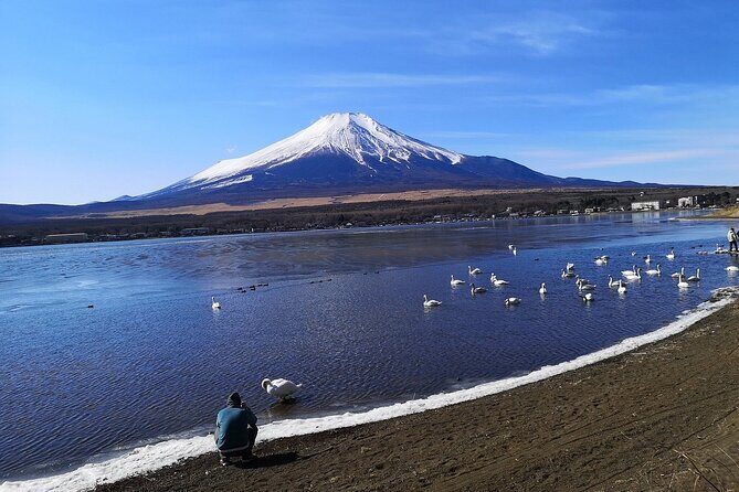 Tokyo: Mount Fuji One Day Trip Lake Kawaguchi & Lake Yamanaka - FAQs