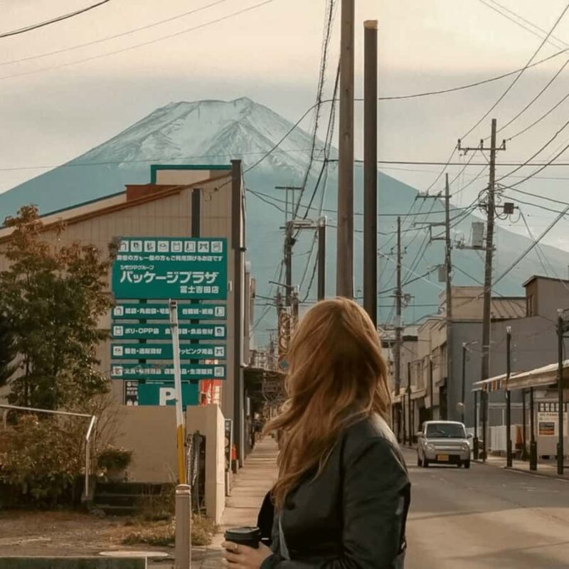 Tokyo: Mount Fuji Private Customizable Tour In Luxury Van - Key Points