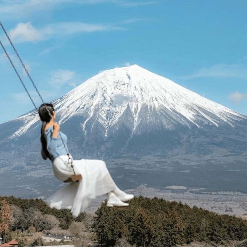 Tokyo: Mount Fuji Private Customizable Tour In Luxury Van - Who Is This Tour Best For?