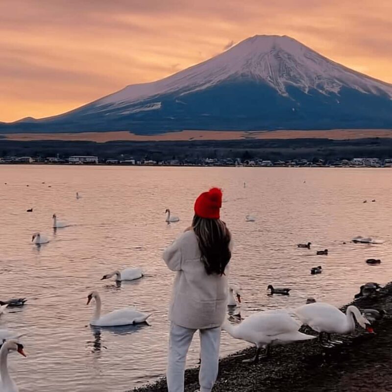 Tokyo: Mount Fuji Private Customizable Tour In Luxury Van - FAQ