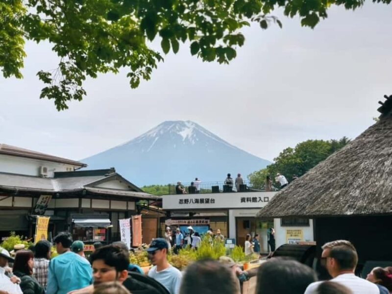 Tokyo: Mount Fuji Private Customized Tour with Cruise Option - Key Points