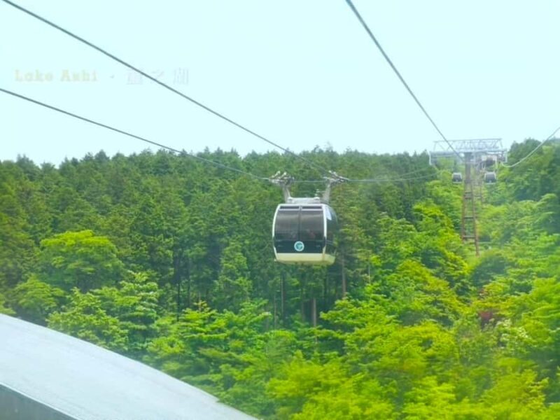 Tokyo: Mount Fuji Private Customized Tour with Cruise Option - What to Expect: Comfort, Flexibility, and Authenticity