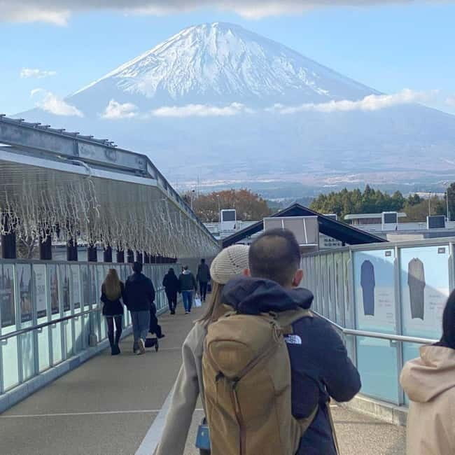 Tokyo: Mount Fuji Private Day Tour Comfortable Pickup & Drop - Practical Details and Tips