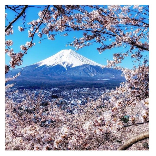 Tokyo: Mount Fuji Private Day Tour Comfortable Pickup & Drop - Frequently Asked Questions