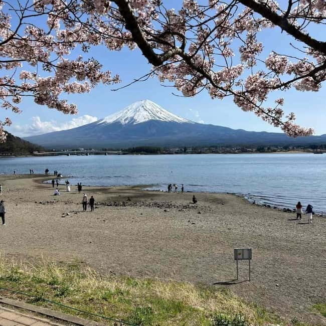 Tokyo: Mount Fuji Private Day Tour With Low Price Guarantee - An Overview of the Tour Experience