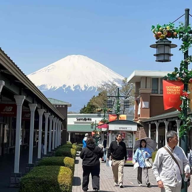 Tokyo: Mount Fuji Private Day Tour With Low Price Guarantee - The Review from Travelers