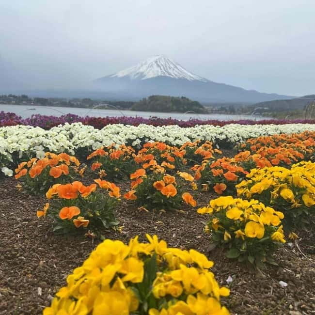 Tokyo: Mount Fuji Private Day Tour With Low Price Guarantee - Who Should Consider This Tour?