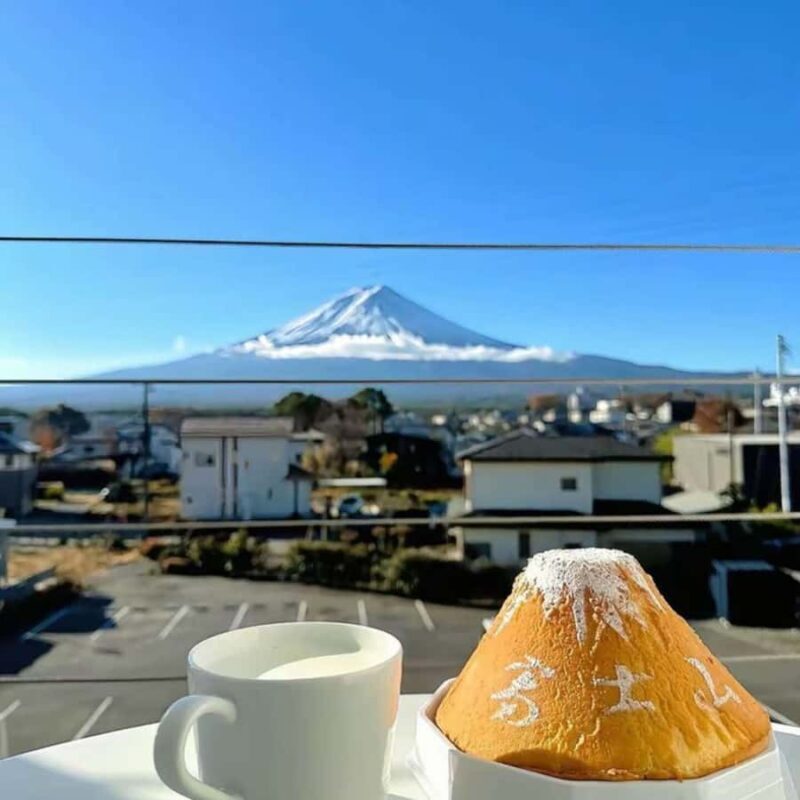 Tokyo: Mount Fuji Private Full Day Tour Adjustable Itinerary - What Makes This Tour Stand Out?