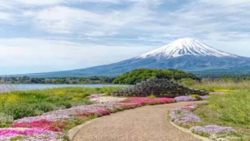Tokyo: Mount Fuji Private Full-Day Tour With English Guide - The Sum Up: Who Should Consider This Tour?