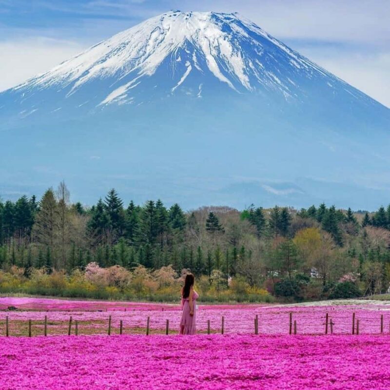 Tokyo: Mount Fuji Private Fully Customizable Itinerary Tour - FAQ