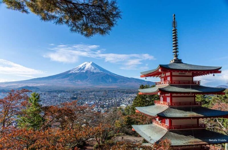 Tokyo: Mount Fuji Private Tour Custom itinerary With Guide - Practical Details and Traveler Tips