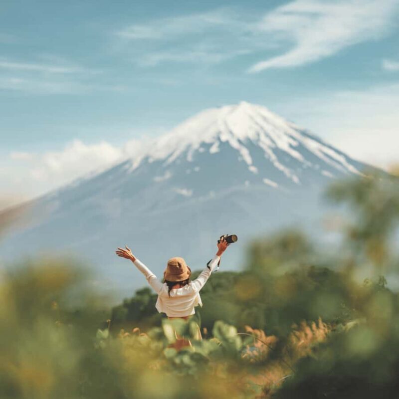 Tokyo: Mount Fuji Private Tour Fully Customizable Itinerary - Who Will Enjoy This Tour?