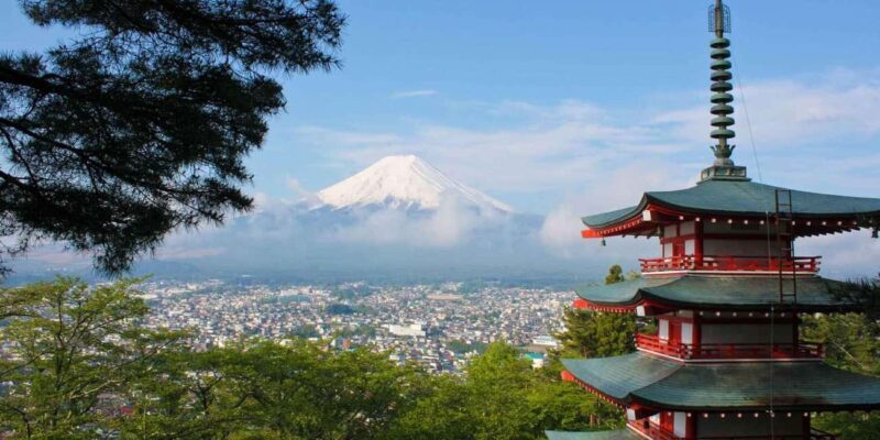 Tokyo: Mount Fuji Private Tour with Scenic Lunch Experience - An In-Depth Look at What You Can Expect