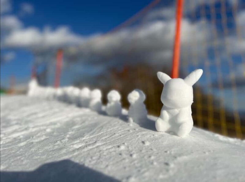 Tokyo: Mount Fuji & Snow Adventure Day Trip to Yeti Resort - FAQ