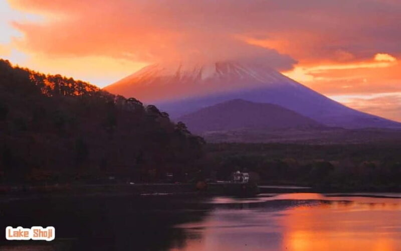 Tokyo: Mt Fuji 3 Lakes Day Trip | 9-Guest Small Group - Insights from Reviews