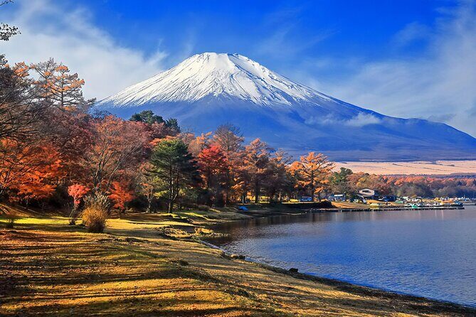 Tokyo: Mt Fuji 3 Lakes Day Trip Secret Spots and Seasonal View - FAQ