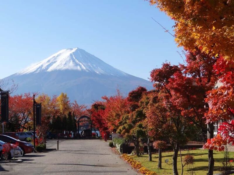 Tokyo: Mt. Fuji 5th Sta. & Autumn Festival Tour with lunch - Who Should Consider This Tour?