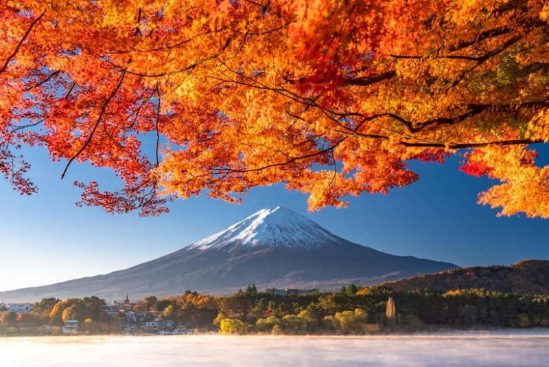 Tokyo: Mt. Fuji 5th Station, Kawaguchiko Tour w/ Cable Car - Authentic Experiences and Real Traveler Insights