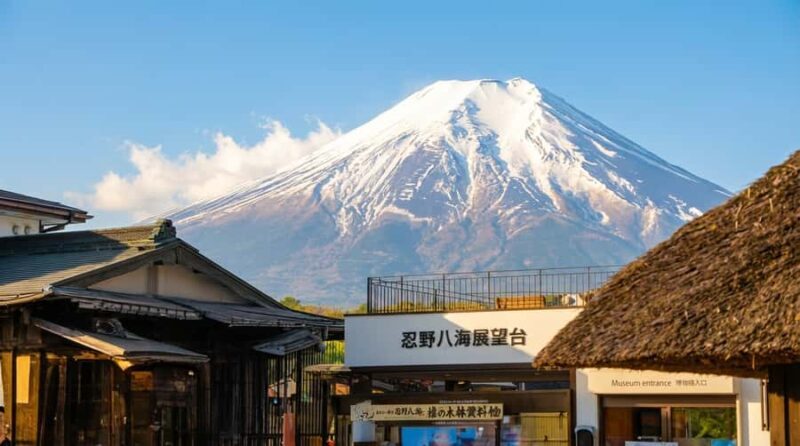 Tokyo: Mt. Fuji 6 Attractions: Lake Kawaguchi, Oshino Hakkai - Key Points
