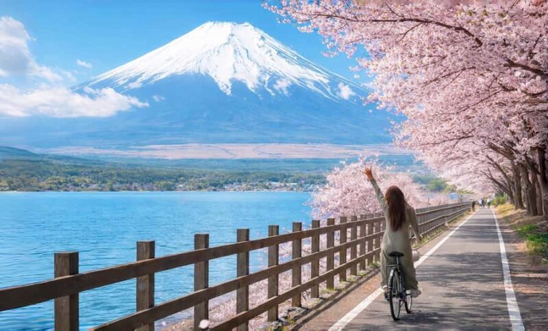 Tokyo: Mt. Fuji 6 Attractions: Lake Kawaguchi, Oshino Hakkai - A Complete Look at the Tour Experience