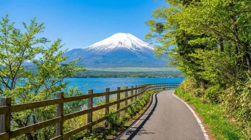 Tokyo: Mt. Fuji 6 Attractions: Lake Kawaguchi, Oshino Hakkai - Authentic Insights from Travelers