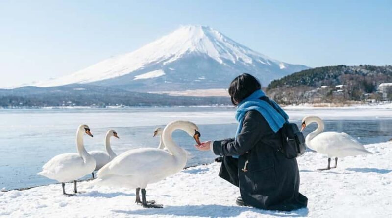 Tokyo: Mt. Fuji & 6 Must-See Spots: Oshino & Lake Kawaguchi - What to Expect & Practical Tips