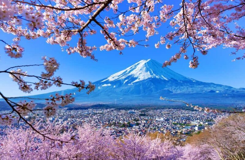 Tokyo: Mt Fuji 6 Spots Tour, Lake Yamanaka, Lake Kawaguchi - Key Points