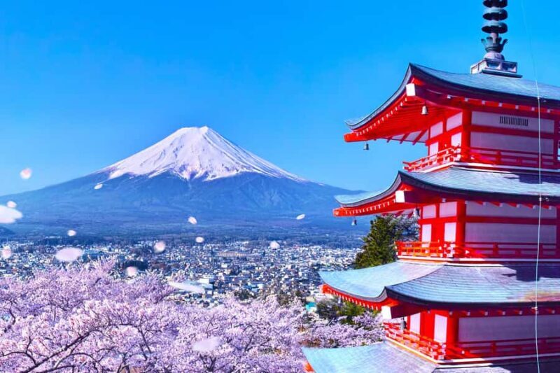 Tokyo: Mt Fuji 6 Spots Tour, Lake Yamanaka, Lake Kawaguchi - The Value Proposition