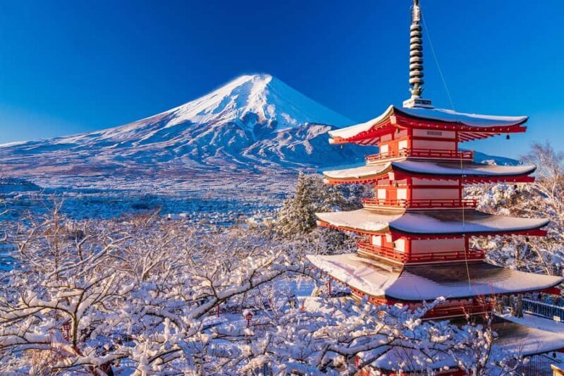 Tokyo: Mt Fuji 6 Spots Tour, Lake Yamanaka, Lake Kawaguchi - Who Is This Tour Best For?